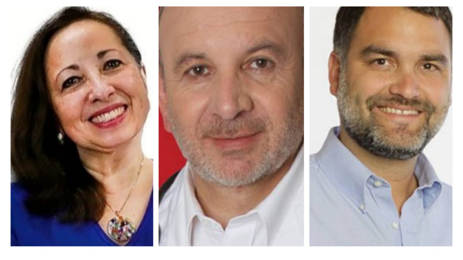 Alejandra Sepúlveda, Juan Luis Castro y Javier Macaya son electos ...